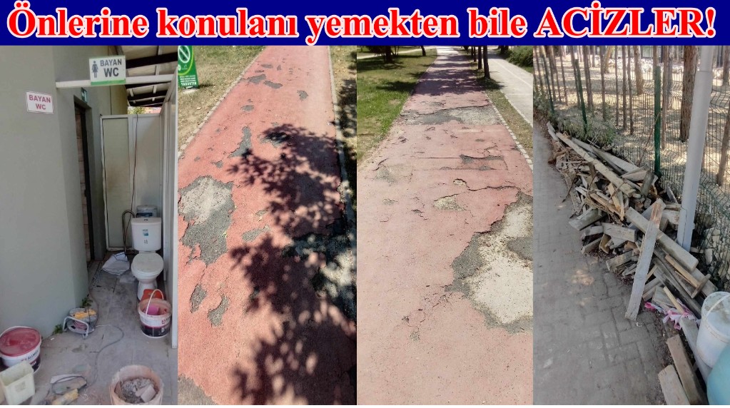 Bu güzelim ağaç müzesinin içine ettiler !!! - bolununsesi Gazetesi